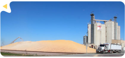 Corn Bids – Christensen Farms | Family-Owned Pork Producer