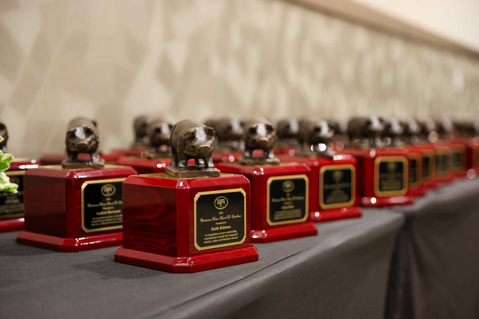 Christensen Farms Announces 2024 Organizational Award Winners ...